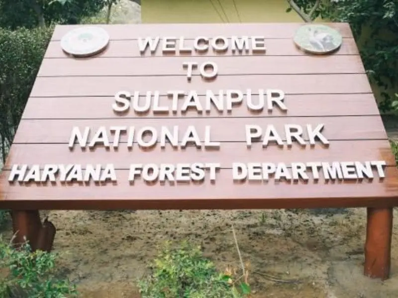 Sultanpur National Park